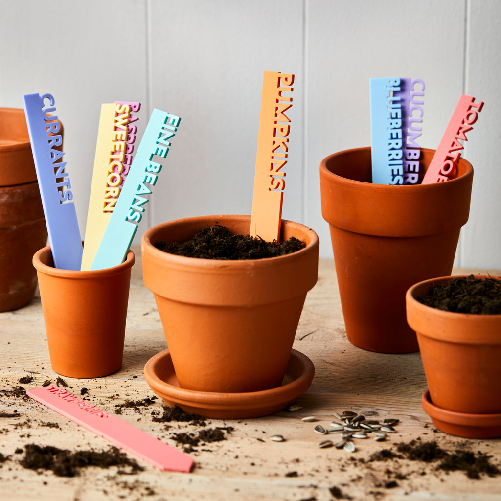 Pastel Fruit and Vegetable Plant Labels – Parkin and Lewis